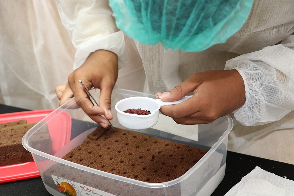 Segunda corrida del experimento en el marco del proyecto de ...