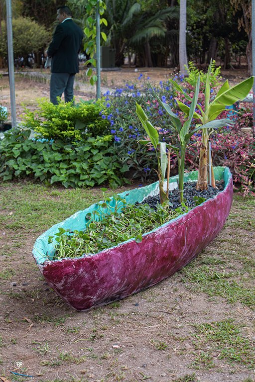 Inauguran Jardín Botánico en Tocumen | UTP Sostenible
